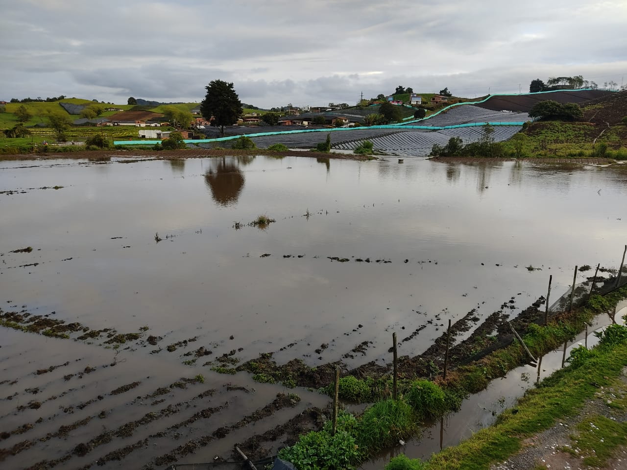 Desbordamiento del río Piedras en La Unión deja inundaciones en algunos ...