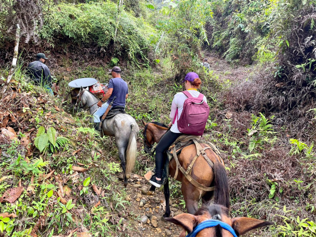A lomo de mula llevaron una antena de internet hasta escuela rural de El Carmen de Viboral ...