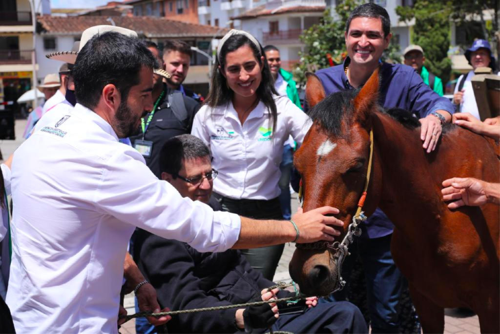 “El Oriente será declarado libre de caballos cocheros”: gerente de Bienestar Animal de Antioquia ...